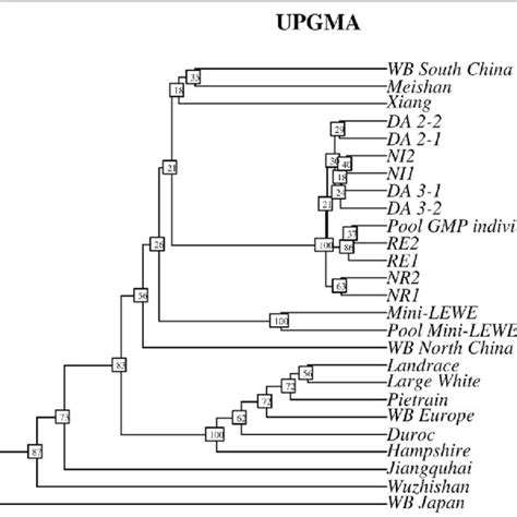 Upgma Tree Based On Genome Wide Fst Values Resampling Frequency Based