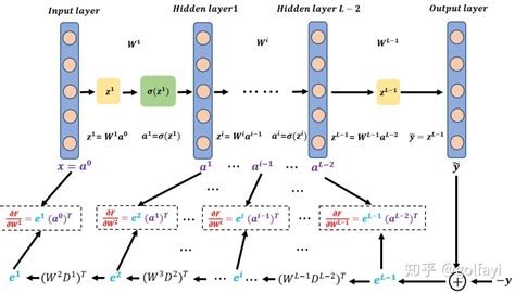 Bp反向传播算法的原理推导及图示 知乎 Bp反向传播算法的原理推导及图示 知乎