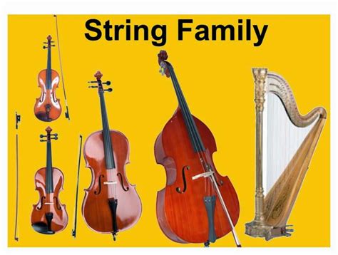 We Music Hses ♫ Instruments Of The Orchestra