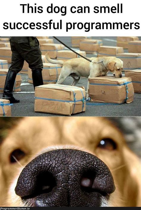 Programmers Best Friend