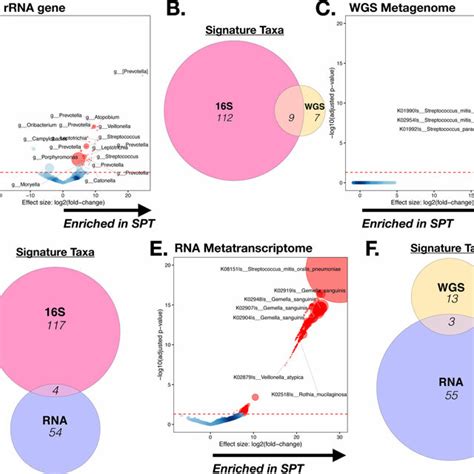 Functional Annotation Of All 3 Sequencing Data Types Download