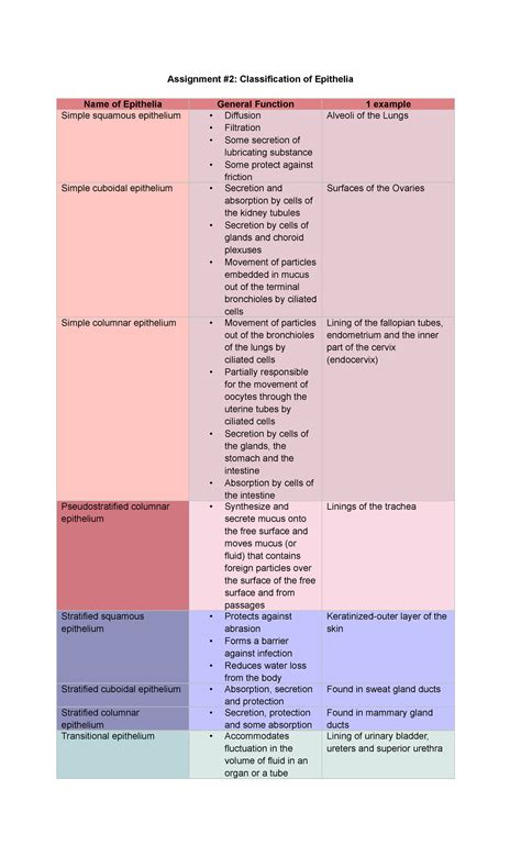 Epithelia Tissue Assignment 2 Classification Of Epithelia Name Of