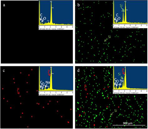 Eds Spectra And Elemental Mapping Of Compact Films Surface Of A Download Scientific Diagram