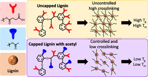 Convenient Cross Linking Control Of Lignin Based Polymers Influencing