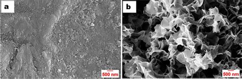 FE SEM Micrographs Of Electrodeposited Cobalt Hydroxide On Cu Substrate Download Scientific