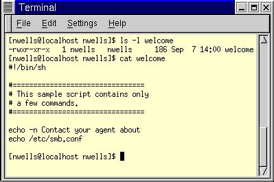 What Makes File Shell Script Unix