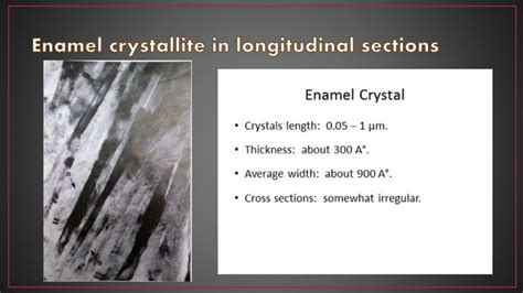 1st Bds Lecture On Tooth Enamel Pptx Dental Health Diseases And Conditions