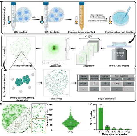 Experimental And Analytical Pipeline For The Quantitative Analysis Of Download Scientific