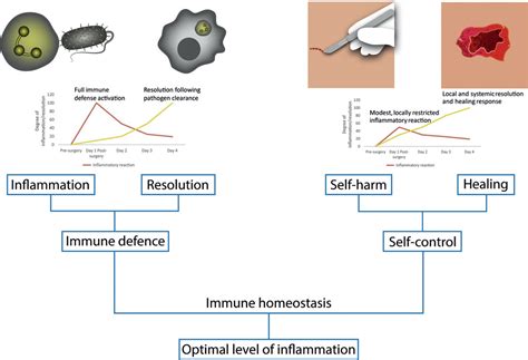 Systemic Inflammatory Response Syndrome After Surgery Mecha Anesthesia And Analgesia