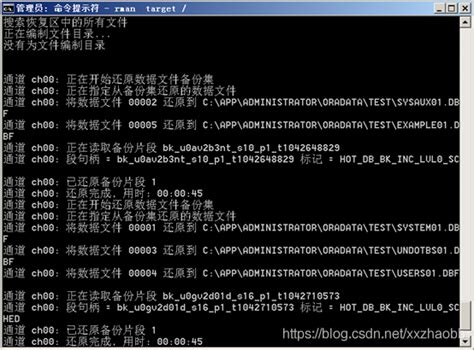 使用nbu备份数据文件和oracleoracle Sysbackup Nbu Csdn博客