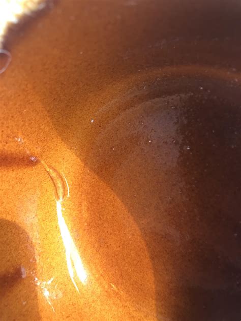 Bug Worm Found In Cats Water Bowl In Santa Barbara California R Whatsthisbug