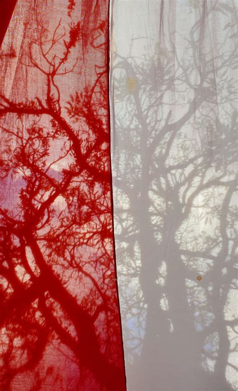 Cutecore Background Photos Download The Best Free Cutecore Background