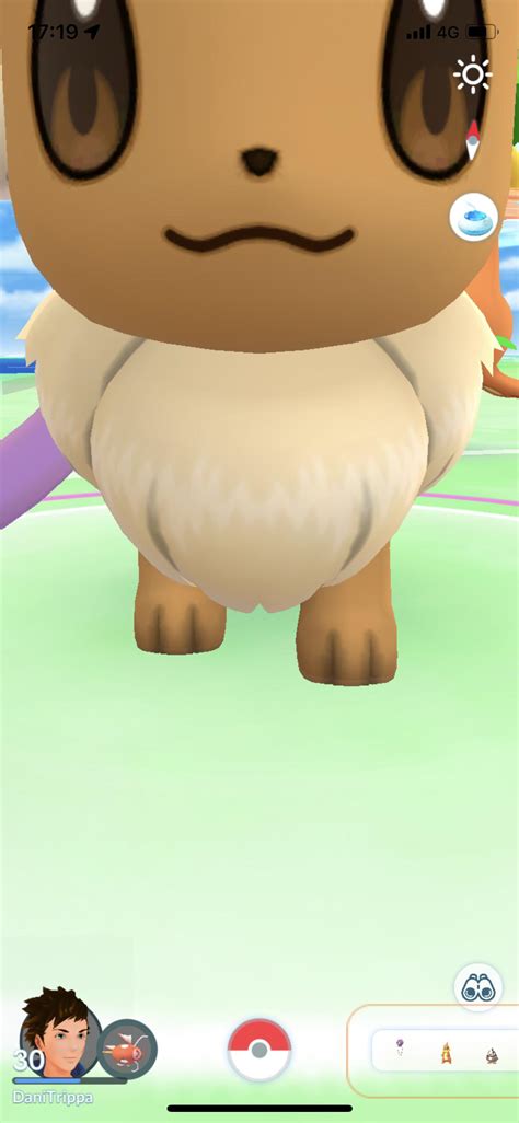 I Love Eevee But This Eevee Loves Me More R Pokemongo