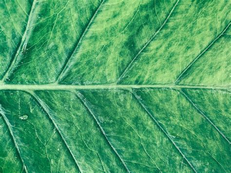 Essential Tips For Using Diagonal Lines In Photography