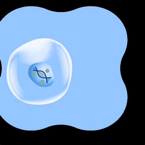 Single Cell Analysis Lncbio