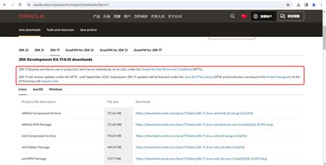 linux 下安装 openjdk 17【详细步骤】 openjdk17 csdn博客