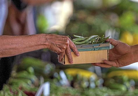 Editorial Pa Surplus Food Program Is Government At Its Best