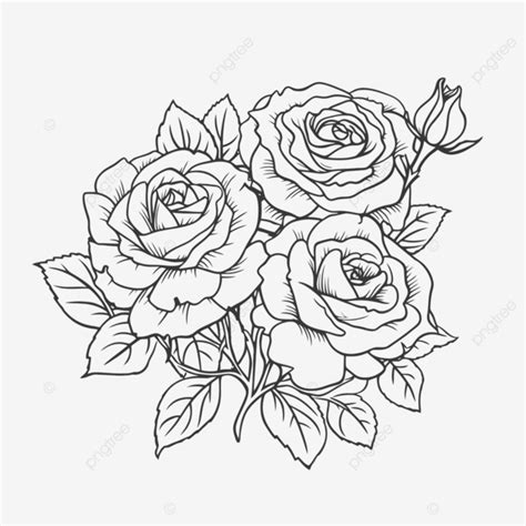 장미 색칠 페이지