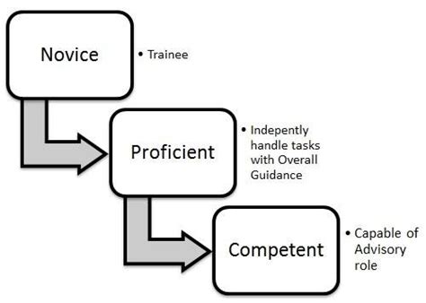 8 Competency Progression Stages Download Scientific Diagram