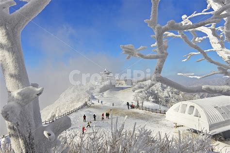 Architecture 건축물 Building 건물 Person 사진 이미지 일러스트 캘리그라피 영산공작가