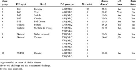 Details Of The 60 Sheep Examined For Detection Of Prp D In Lrs And Cns