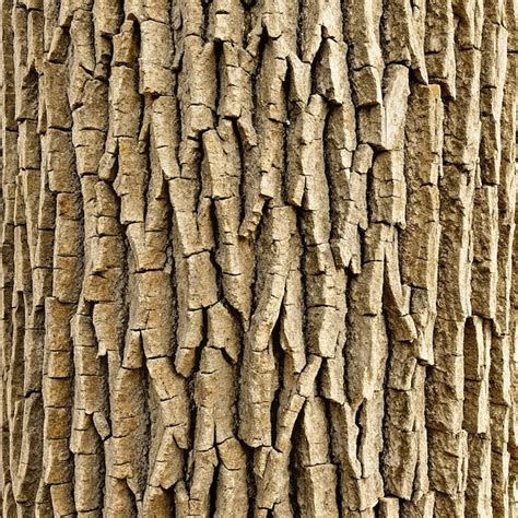 Detailed Oak Tree On Invisible Background Premium AI Generated PSD