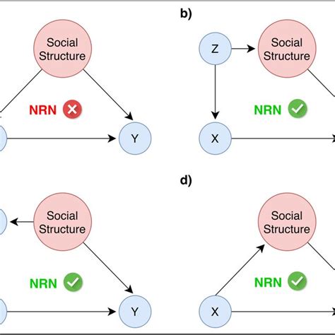 Outlining Different Cases Where The Nrn Network Reaction Norm