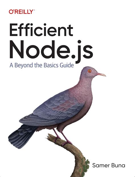 Efficient Node Js A Beyond The Basics Guide Buna Samer Amazon In Books