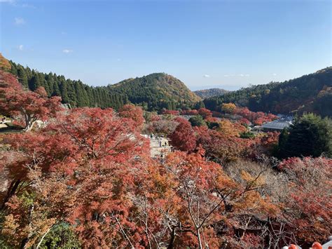 Imgur The Magic Of The Internet