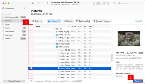 how to recover deleted files using mac terminal commands [guide]