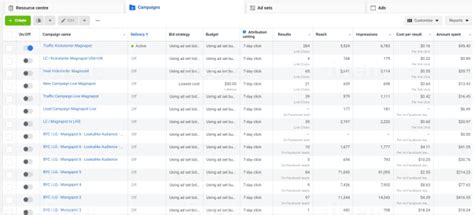 Manage Facebook Ads And Setup Instagram Campaign For Your Business By