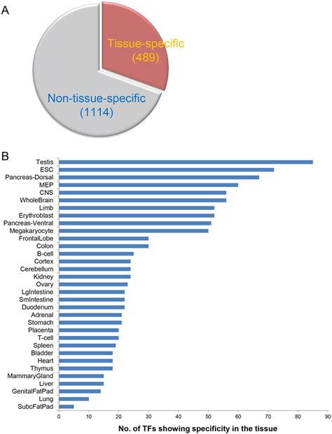 a 489 out of 1603 30 5 transcription factors tfs show tissue