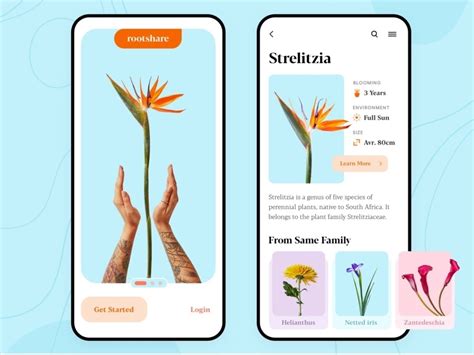 ui ux expert ui ux designer web and mobile design website design
