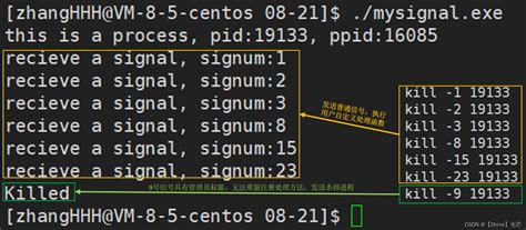 Linux系统编程：进程信号的保存和阻塞obset Csdn博客