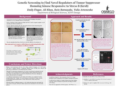 Genetic Screening To Find Novel Regulators Of Tumor