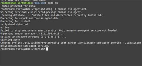 Amazon Ssm Agent Complete Installation Guide On Linux Sitename