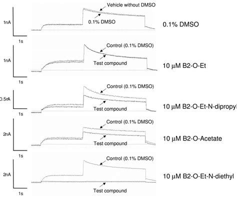 Inhibition Of Potassium Current Representative Current Traces Of Download Scientific Diagram