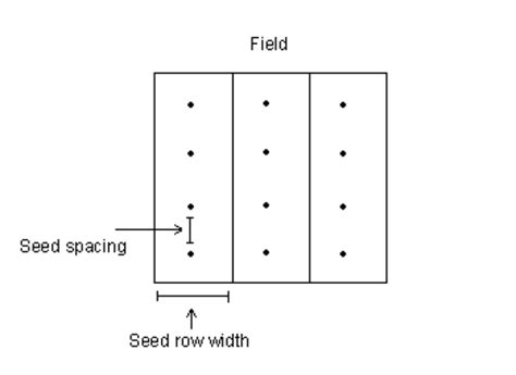 Seed Count Calculation Measurement Mate