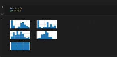 🚀 Excited To Share My Latest Project At Bharat Intern Iris Classification Using Machine