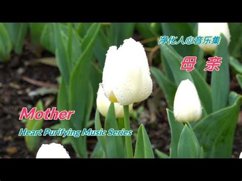 Mother Heart Purifying Music Series Youtube