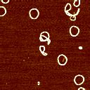 How To Use The Object Detection DNA Rev Object Detection API