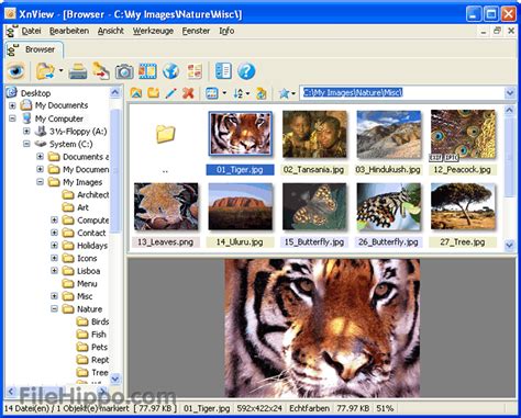 Download XnView V2 10 For Windows Filehippo Com