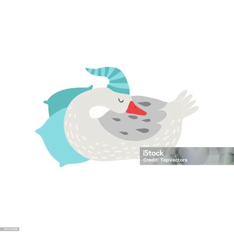 귀여운 화이트 거 위 만화 성격 잠자는 모자 벡터 일러스트 거위 새에 대한 스톡 벡터 아트 및 기타 이미지 거위 새 날씨 농업 Istock