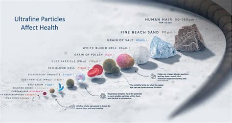 Survey Shows Teachers Wary Of Iaq In Schools