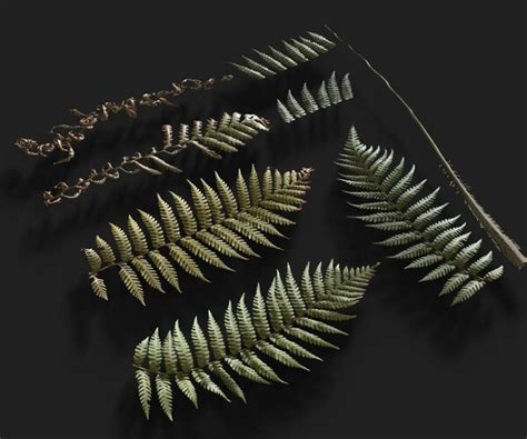 Artstation Young Tree Fern Game Assets