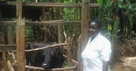 A Loan To Judy Joy Bitonio