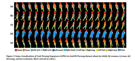 【步态识别】论文阅读 Parsing Is All You Need For Accurate Gait Recognition In The