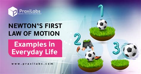 Newtons First Law Examples In Everyday Life Newton S Third Law For