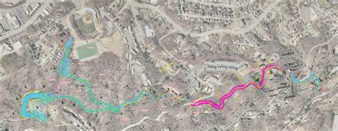 Roll Plot Size At Francis Manley Blog